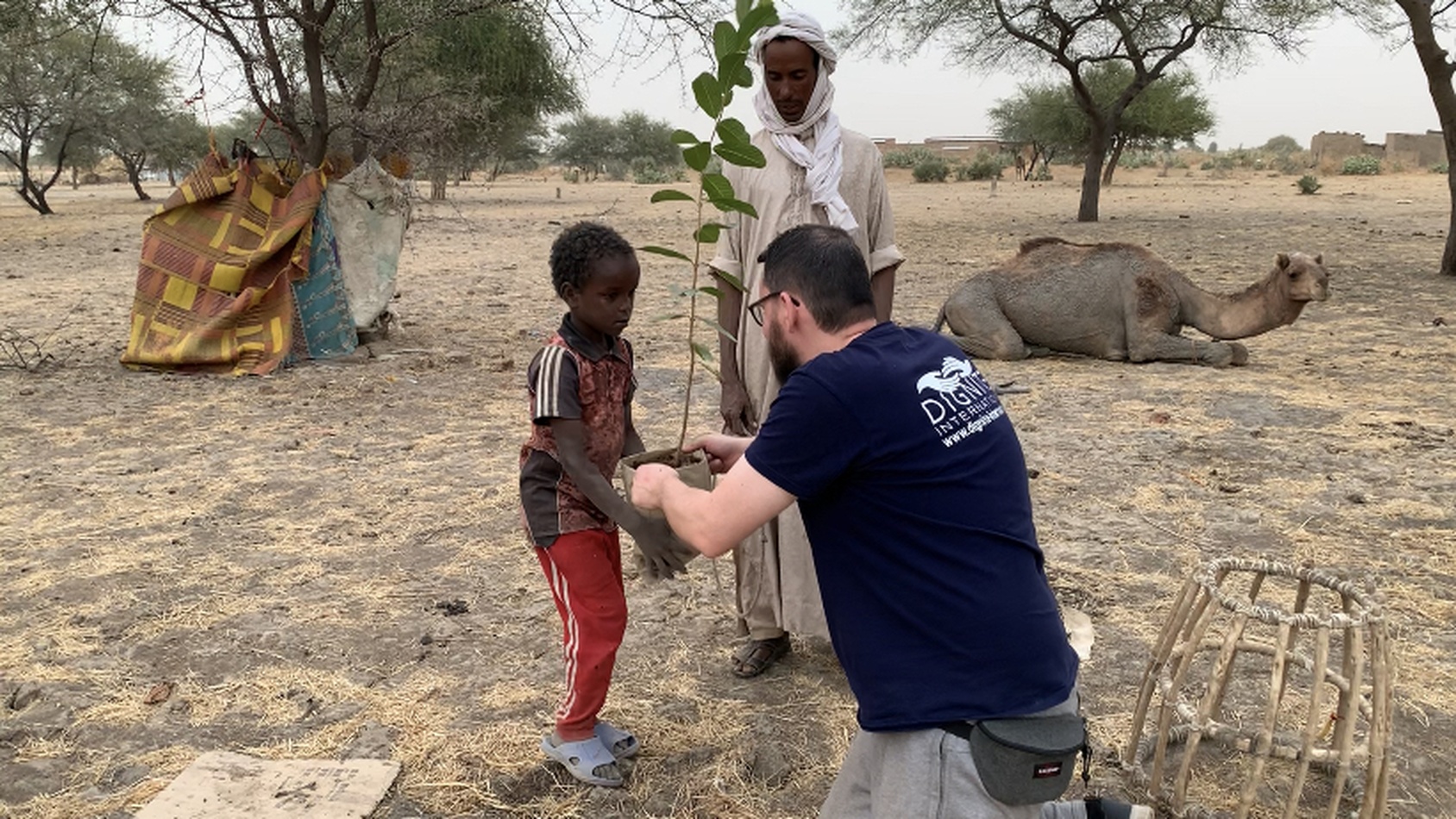 Planter des arbres en Palestine et Afrique (Tchad) Plant'actions